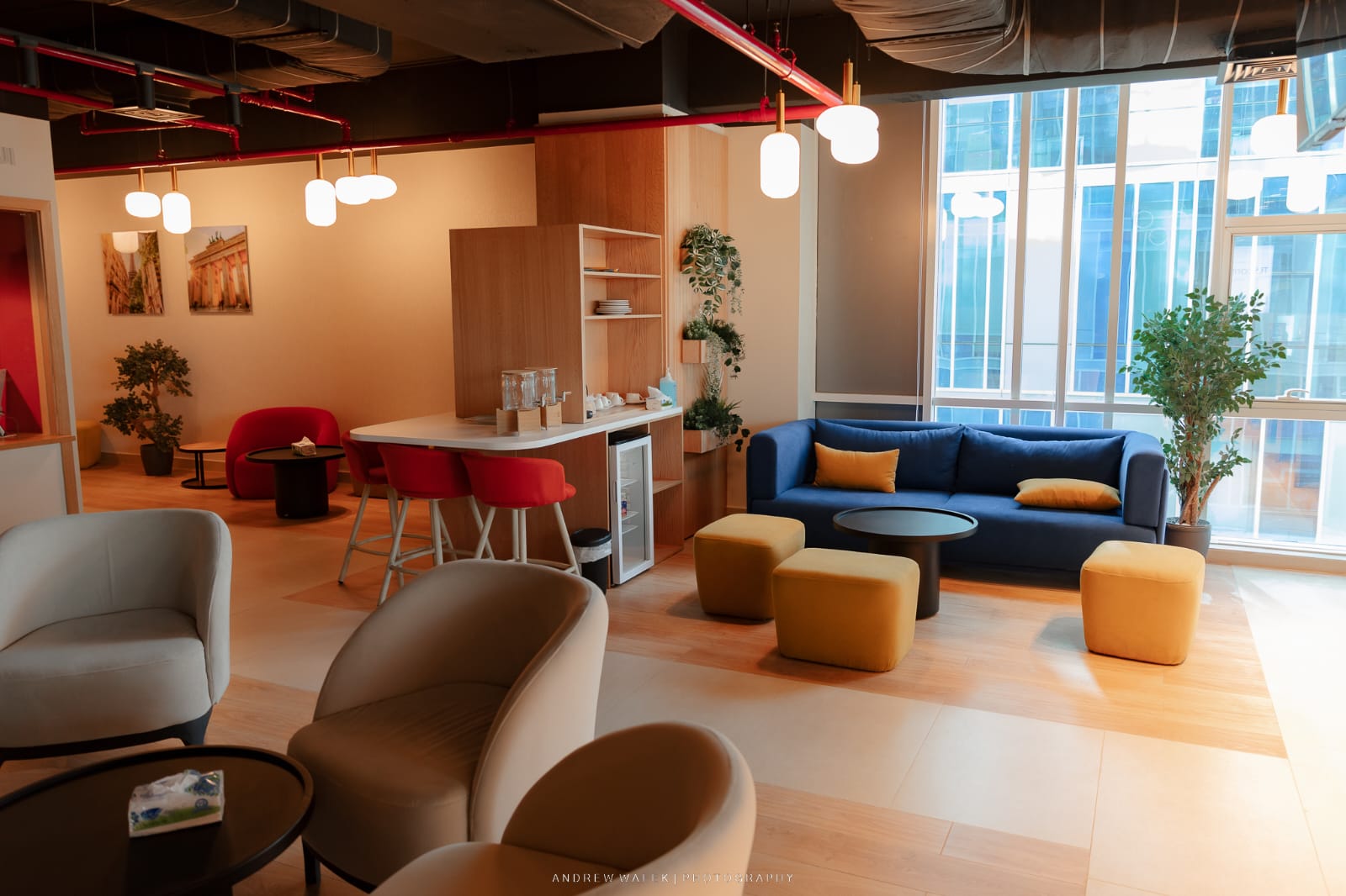 Inauguration of a major new visa application centre in Cairo - TLScontact